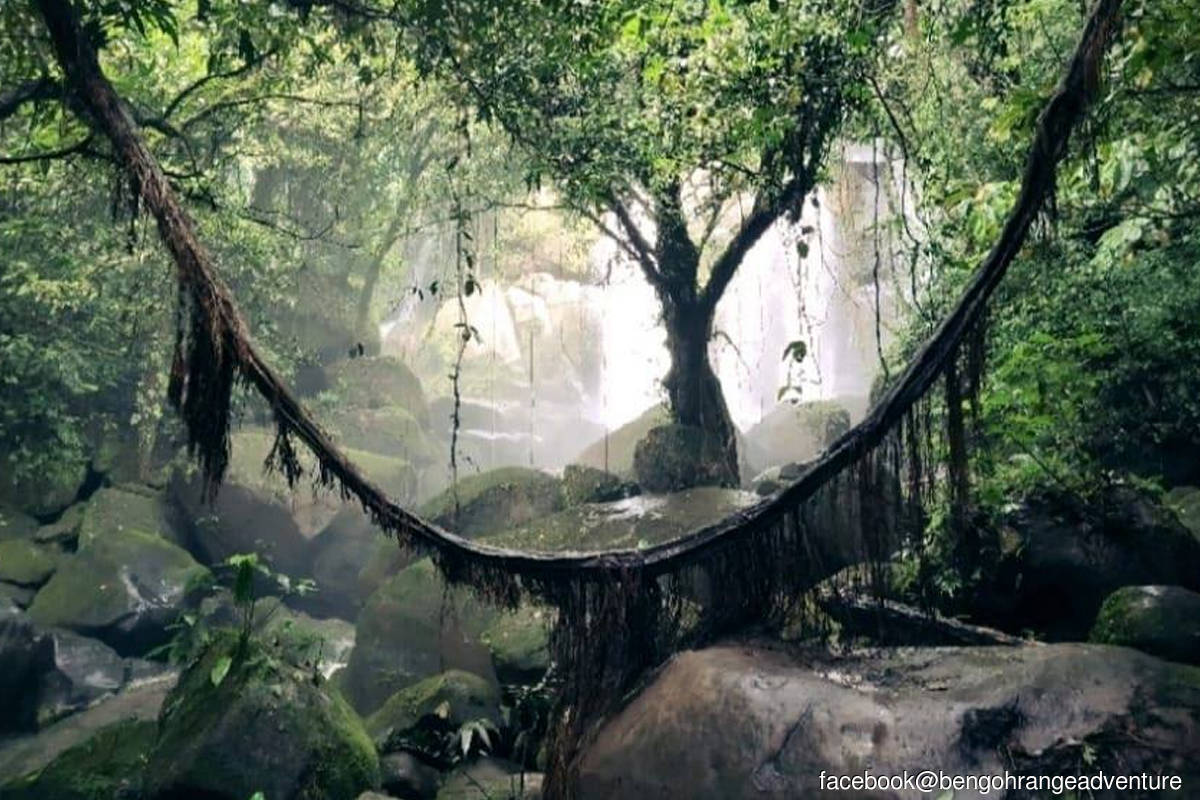 Bengoh Range: Sarawak's Jurassic World beckons tourists | EdgeProp.my