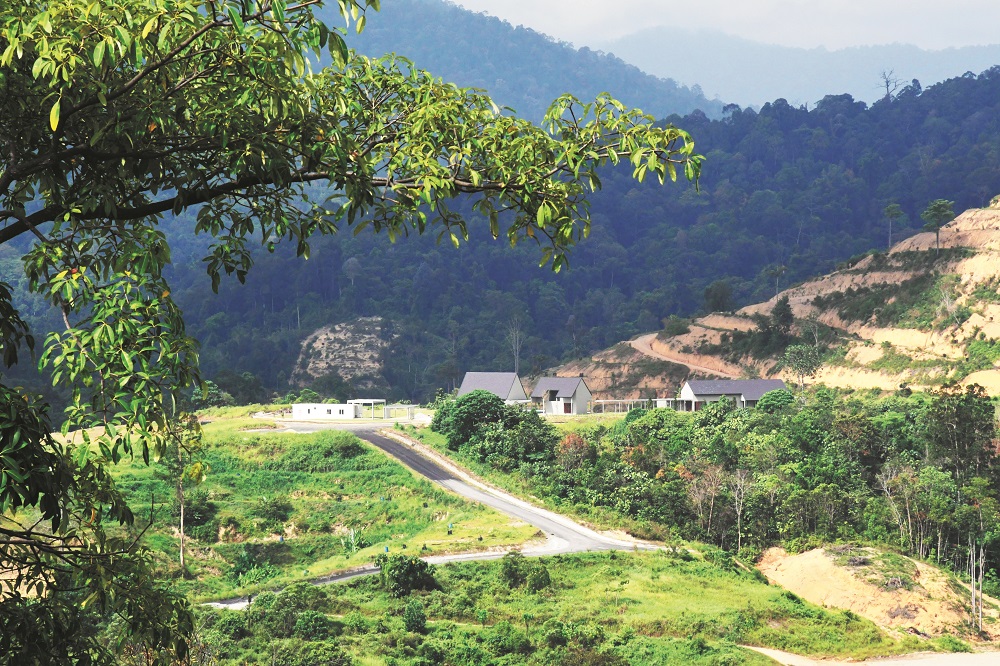 Creating an agri-retreat in the hills of Karak for durian lovers ...