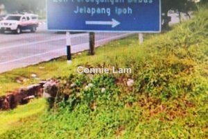 JELAPANG FREE TRADE ZONE for Sale @RM4,356,000 By CONNIE LAM | EdgeProp.my