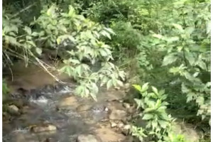 Junjong Main Road Frontage Durian Plantation Sale for Sale @RM4,420,000 ...