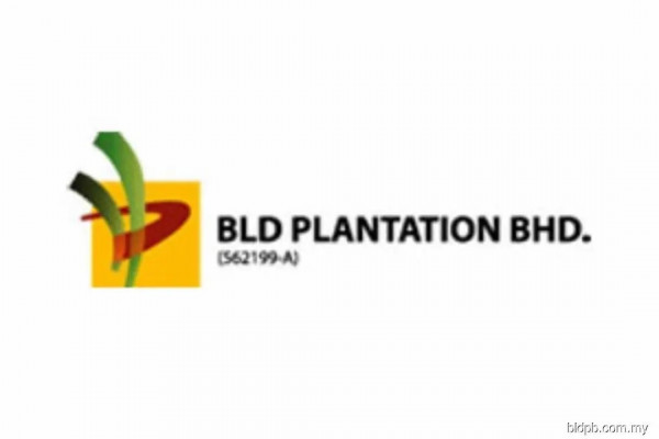 BLD Plantation acquires two Bintulu properties for business expansion ...