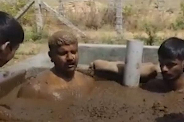 Indian doctors: Cow dung cannot combat Covid-19 infection | EdgeProp.my