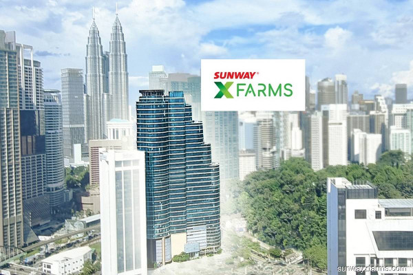 Sunway XFarms to launch KL's largest indoor farm in 3Q22 | EdgeProp.my
